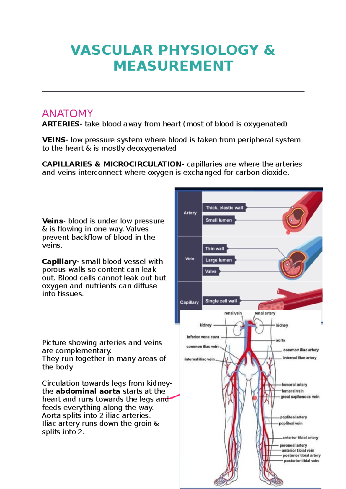 Vascular Physiology - Lecture notes 3 - VASCULAR PHYSIOLOGY ...