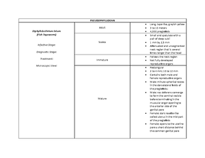 Wbc lineage - Summary Rodak's Hematology - Myeloblasts Promyelocytes ...