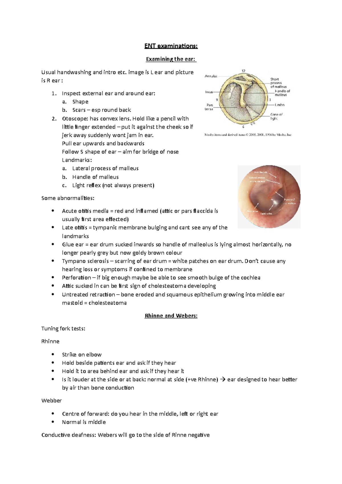 ENT examinations - Rebekah Mercer year 3 clinical practice ...