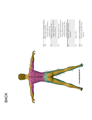 Lab Practical #1 Study Guide - Lecture Practical #1 Study Guide Anatomy ...