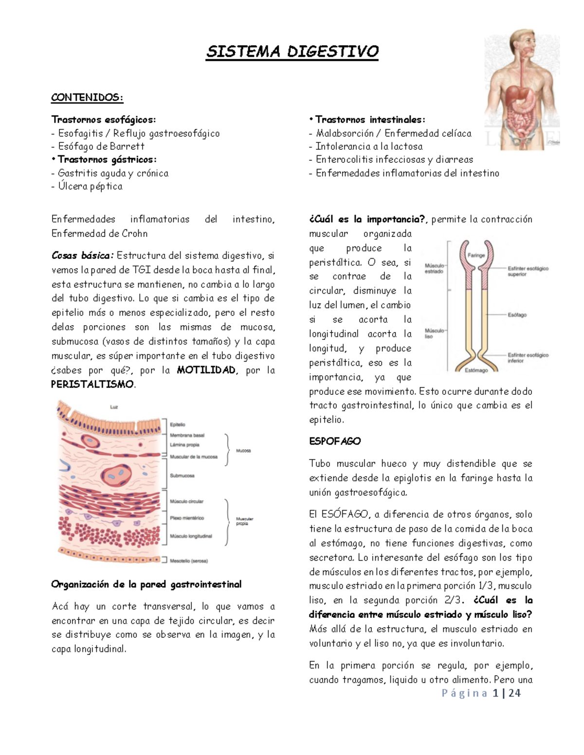 Sistema Digestivo FISIOPATO - Enfermería - Warning: TT: undefined function: 32 SISTEMA DIGESTIVO ...