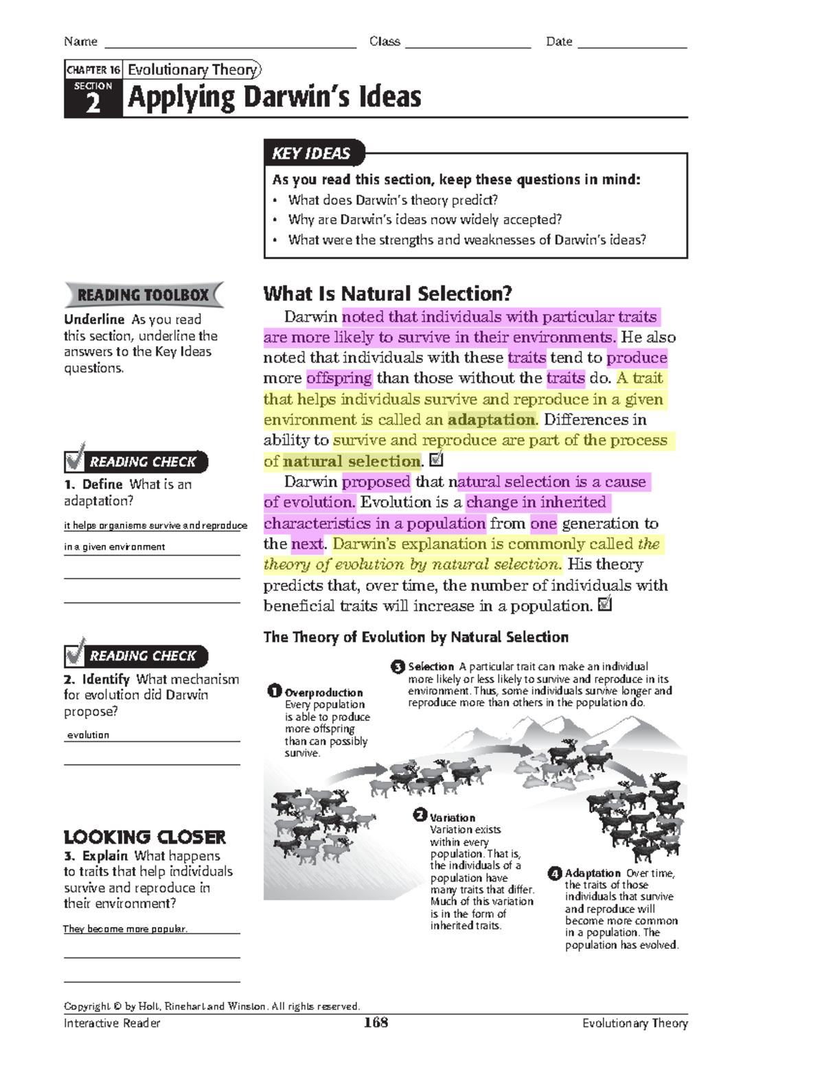 Kami Export - Janya Kumar - Applying Darwin's Ideas - Copyright © by Holt, Rinehart and Winston ...