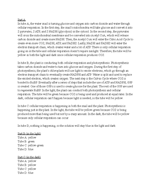 [Solved] Much of the human genome does not code for proteins Which of ...