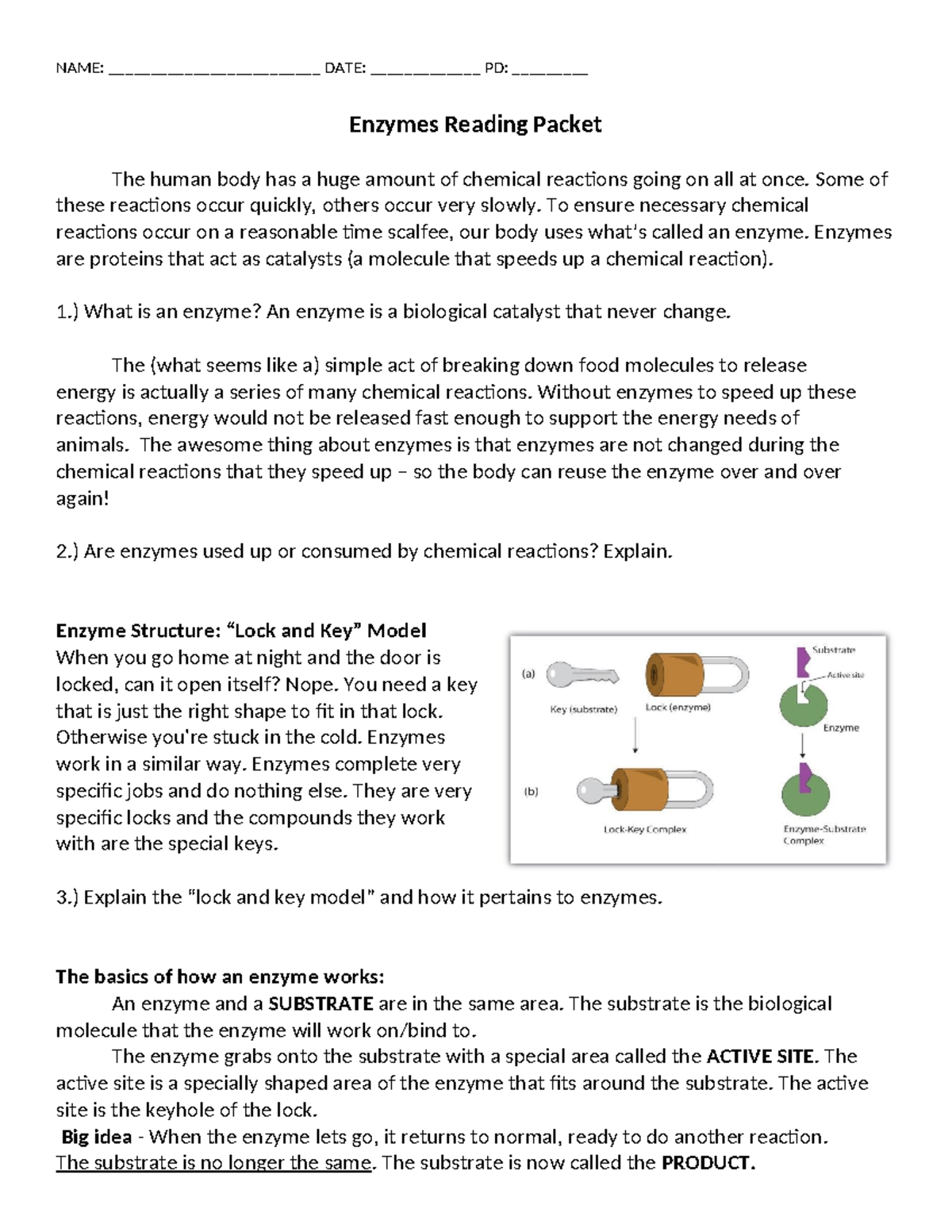 Copy of Copy of Enzymes Reading Packet - Enzymes Reading Packet The ...