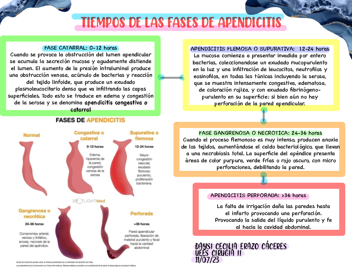 Complicaciones de la apendicitis - TIEMPOS DE LAS FASES DE APENDICITIS FASE CATARRAL: 0-12 horas ...