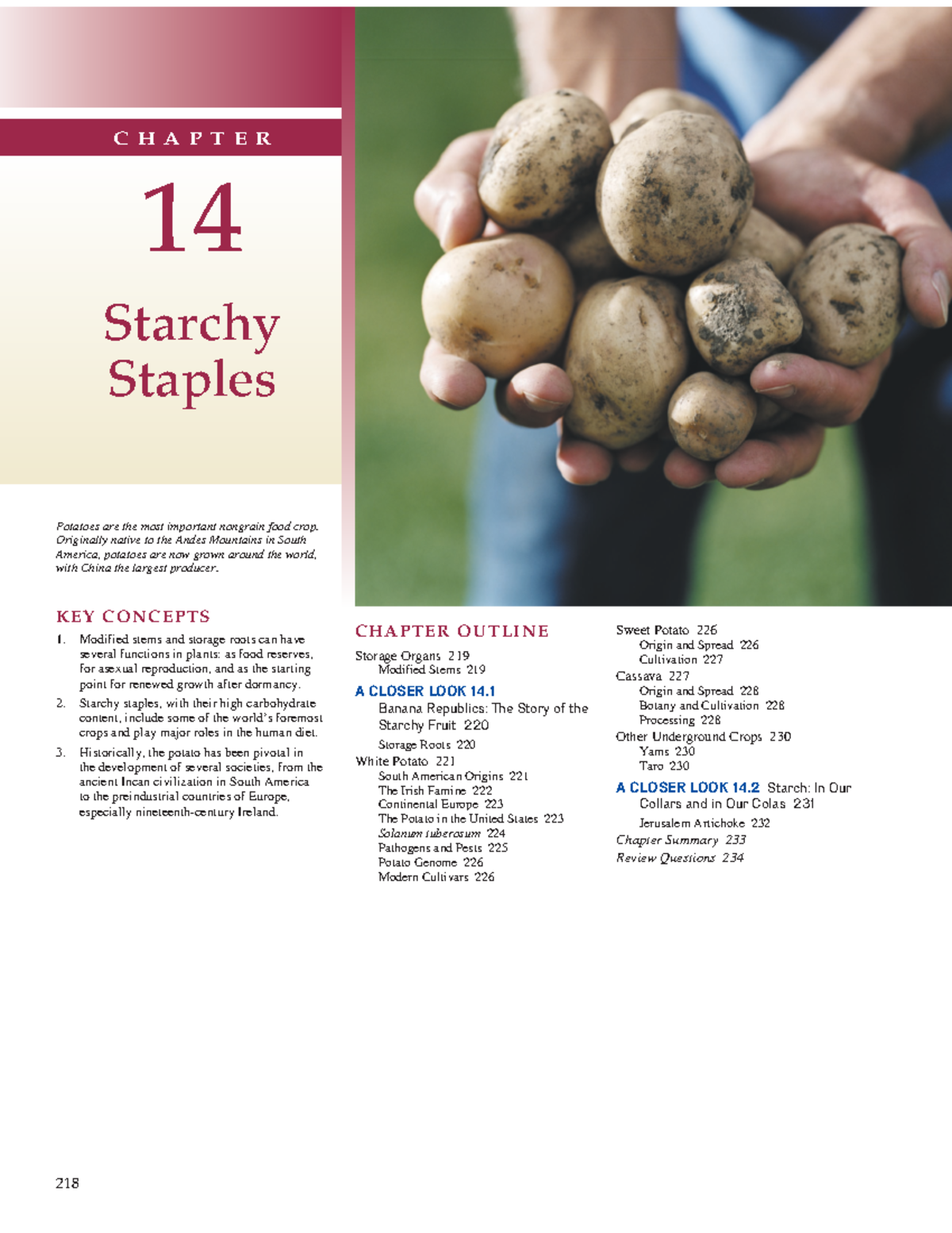 Chapter 20 (14) Starchy Staples - 218 Potatoes are the most important ...