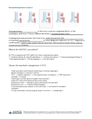 Workbook 42 neonatal A&P 3 - ©2022 APEX Anesthesia Review • All rights ...