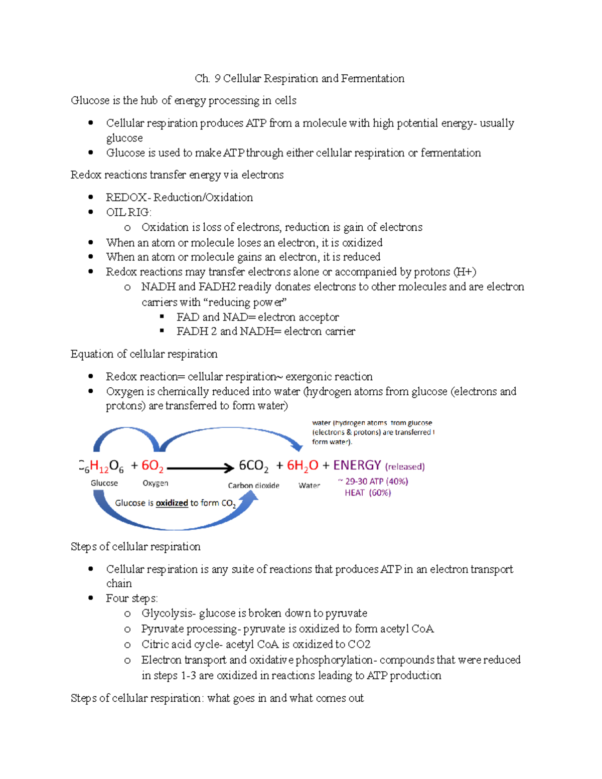 Biol ch 9 - Laxmi Sagwan-Barkdoll - Ch. 9 Cellular Respiration and ...