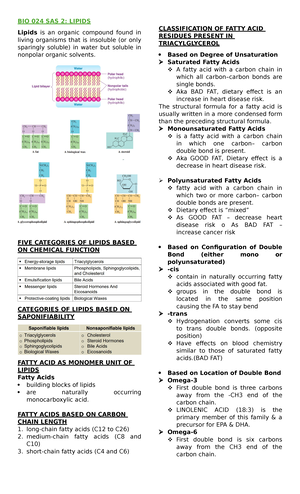 BIO 024 SAS 3 - Proteins - BIO 024 SAS 3: PROTEINS What is a PROTEIN? A ...