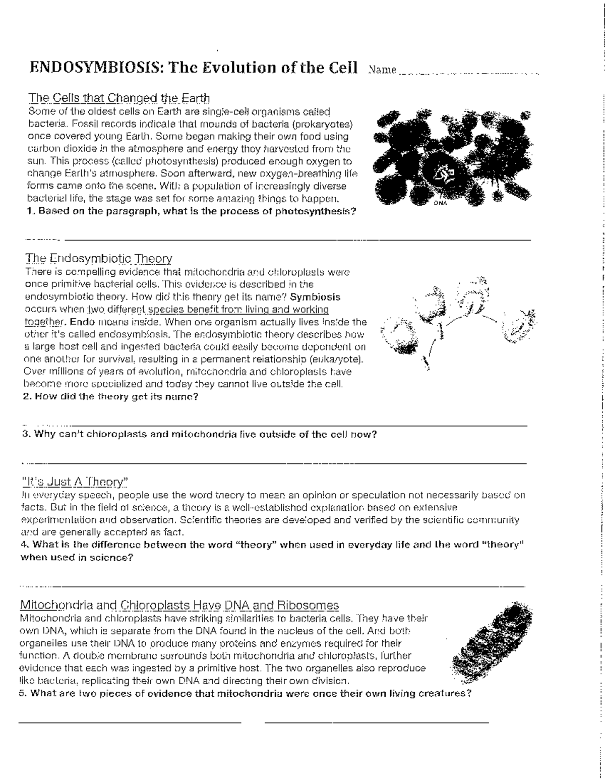 Endosymbiosis WS - practice evolution - BSC 110 - Studocu