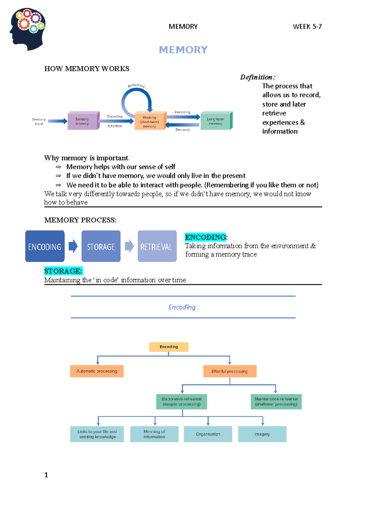 Memory week 5 - Lecture notes 5 - MEMORY HOW MEMORY WORKS Definition ...