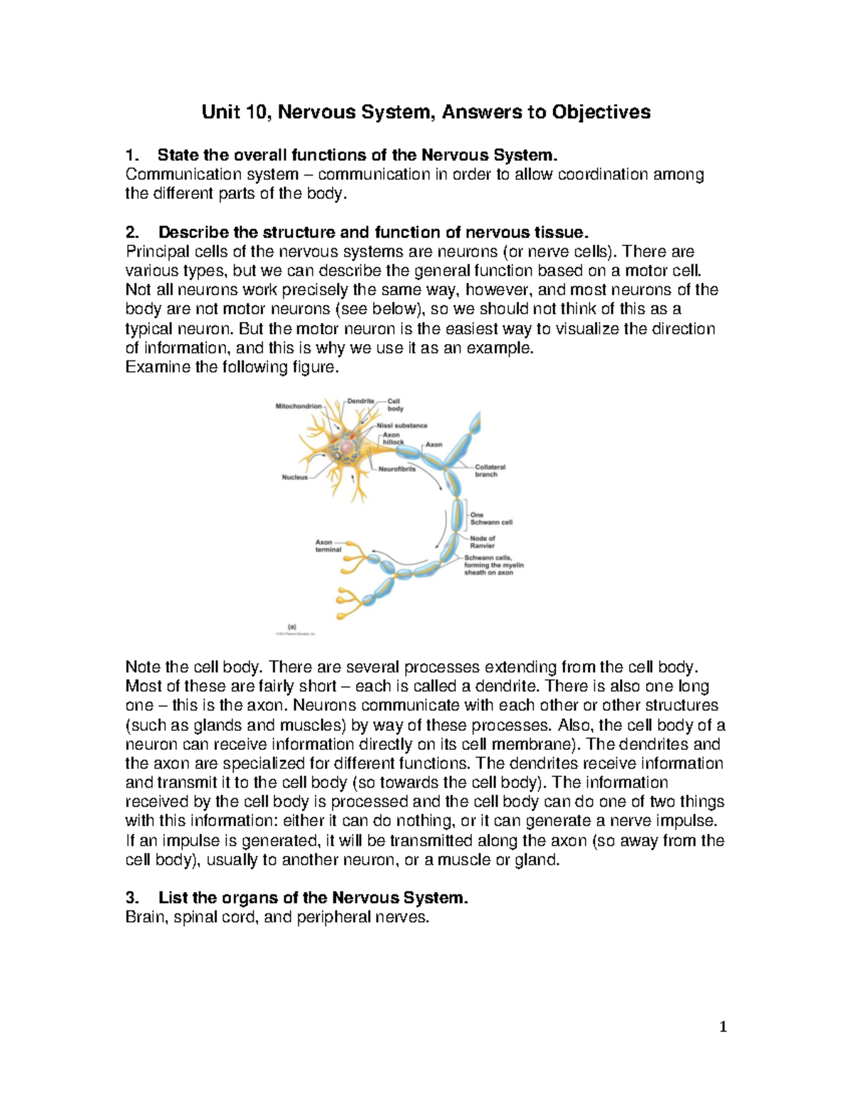 ANAT 100- Nervous system - Unit 10, Nervous System, Answers to ...