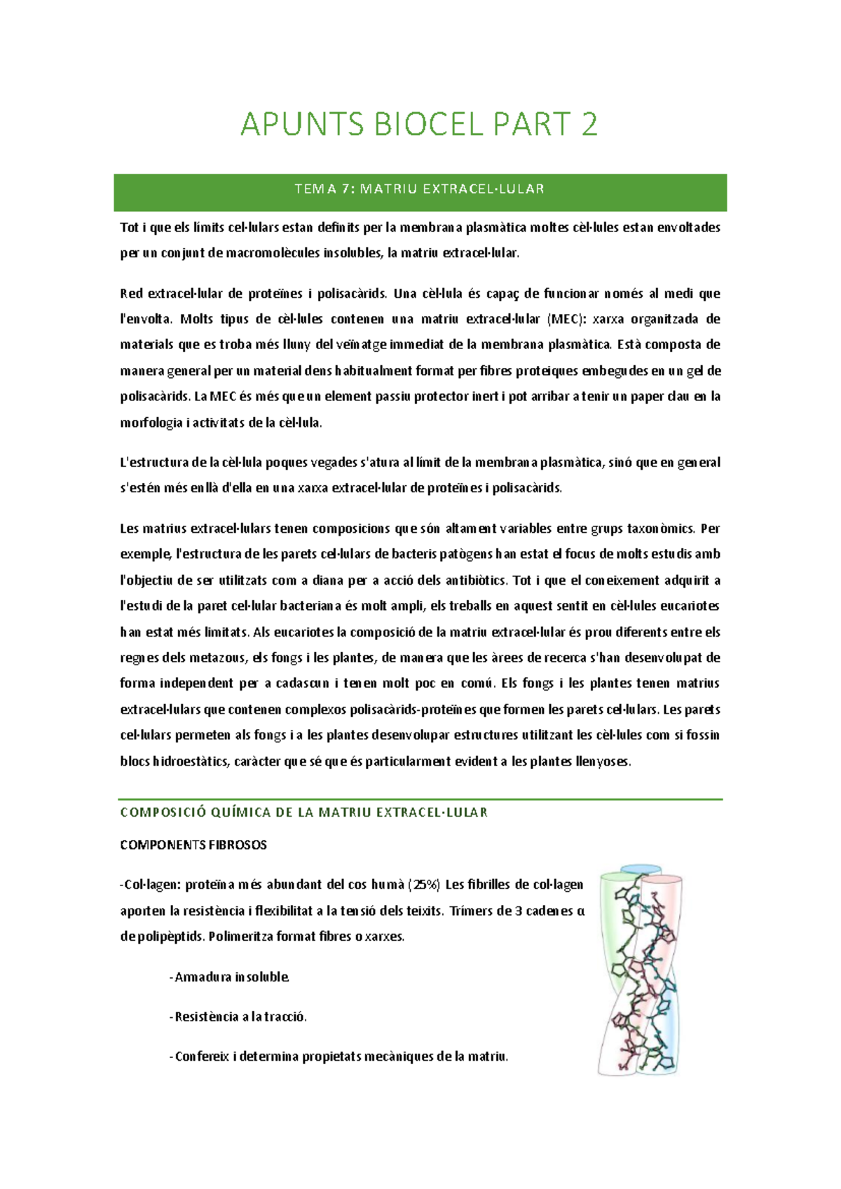 Apunts biologia celular segon examen - APUNTS BIOCEL PART 2 TEMA 7: MATRIU EXTRACEL·LULAR Tot i ...