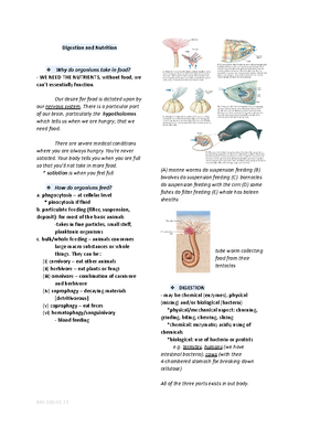 Protostomes: Phylum Platyhelminthes - Class Monogenea & Cestoda ...