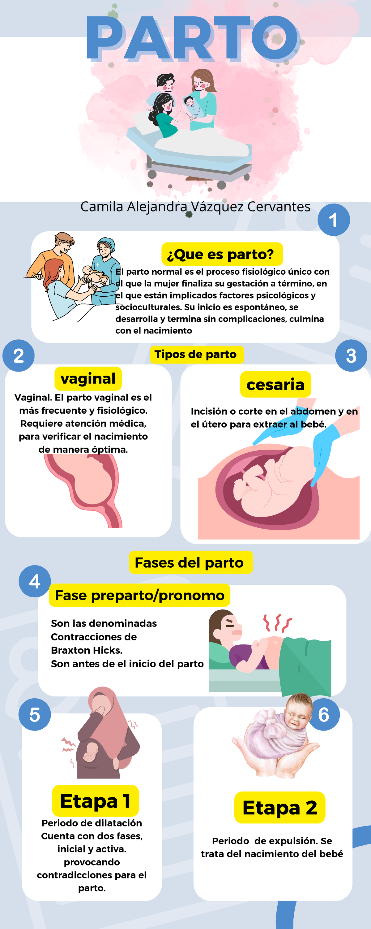 Infografia curriculum profesional azul - PARTO PARTO ¿Que es parto? El ...