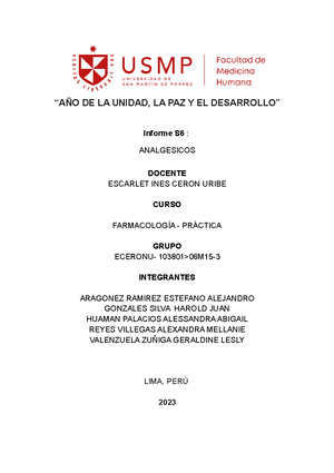 Informe 1 Fatima Ballena Tapia - Warning: TT: undefined function: 32 ...