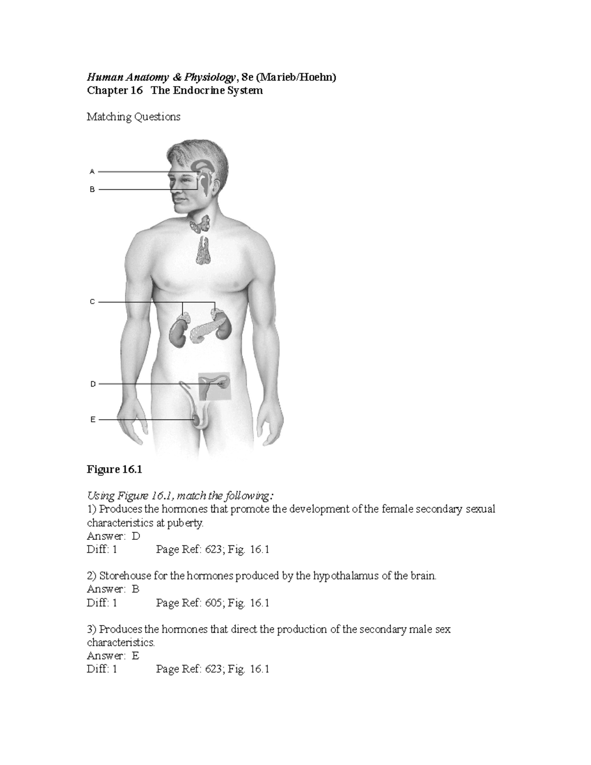 Exam #1 Practice - Endocrine & Blood - Human Anatomy & Physiology , 8e ...