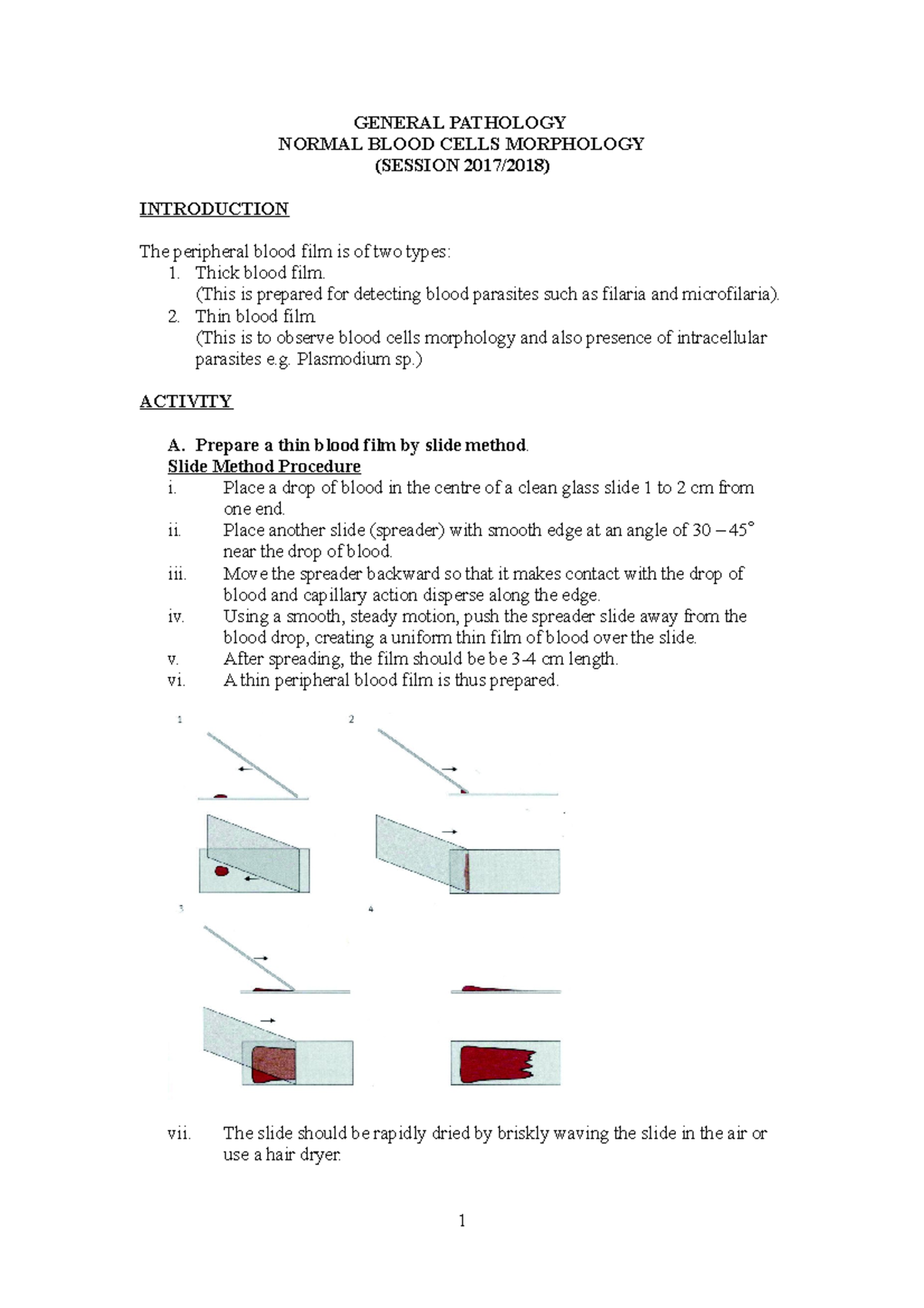 Patho practical 2 - GENERAL PATHOLOGY NORMAL BLOOD CELLS MORPHOLOGY (SESSION 2017/2018 ...
