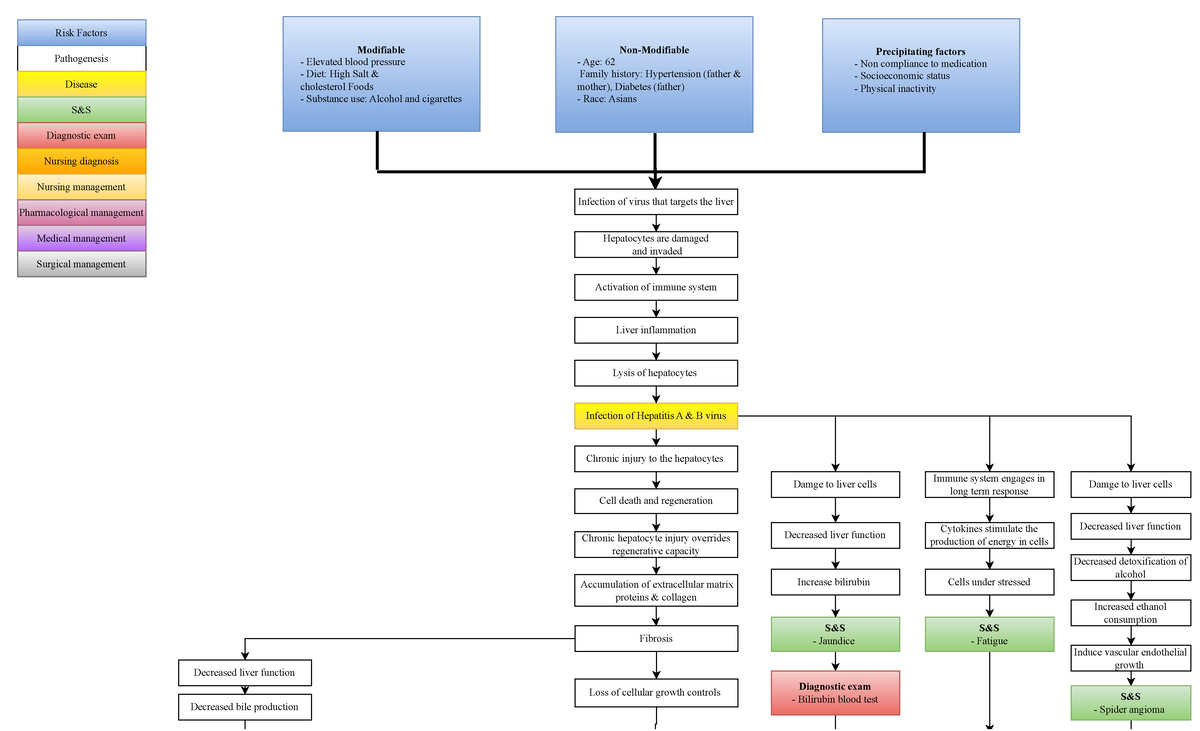 14 Liver Cancer Patho Page 2 - Non-Modifiable Age: 62 Family history ...