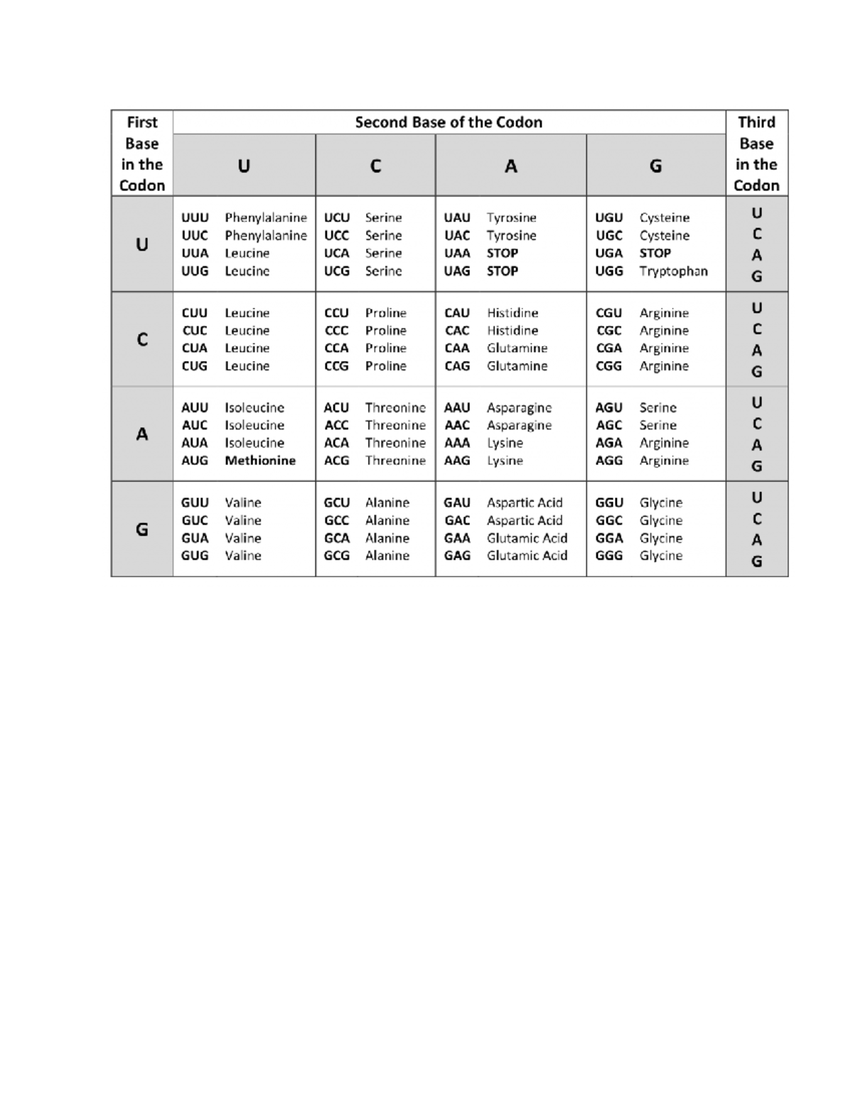Genetic Code Chart - Biochemistry - Studocu