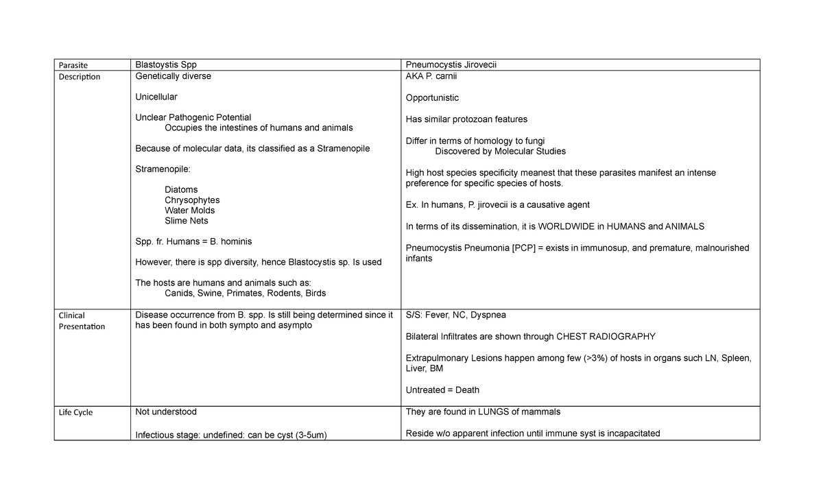 Blasto - Parasite Blastoystis Spp Pneumocystis Jirovecii Description ...