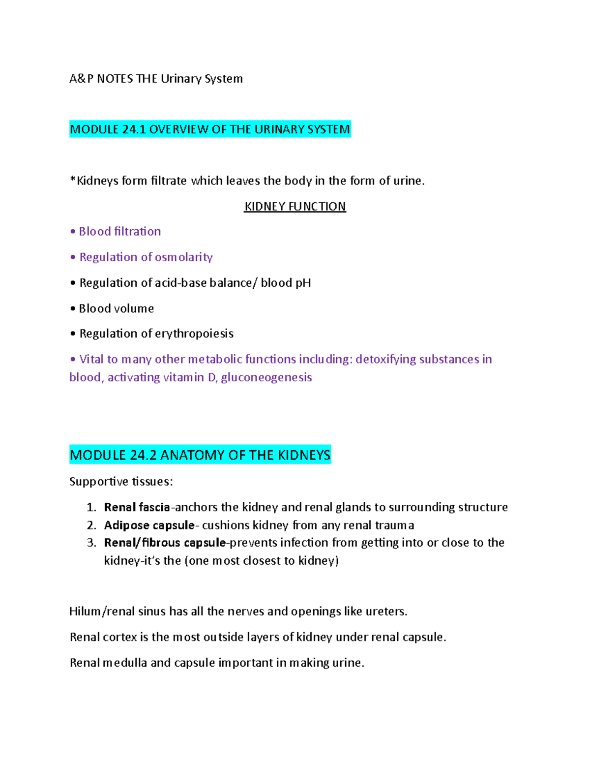A&P Urinary System - A&P NOTES THE Urinary System MODULE 24 OVERVIEW OF ...