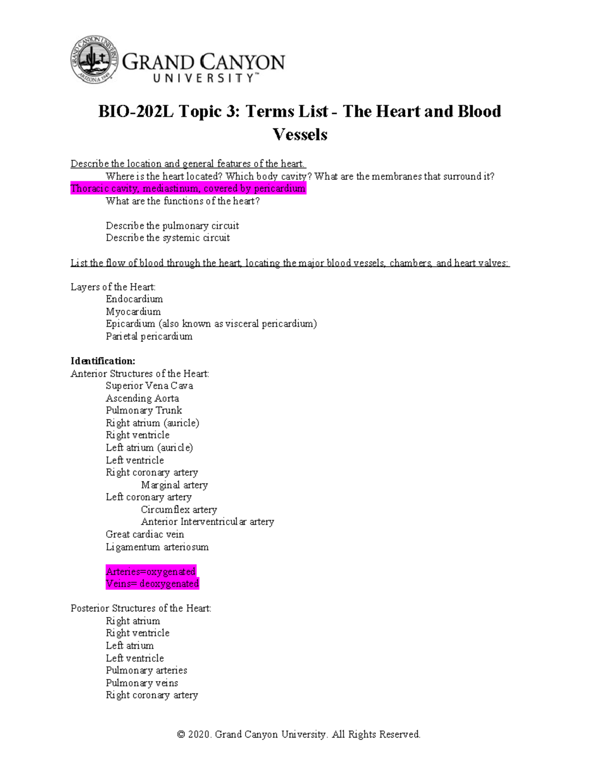 BIO 202L Topic 3 RS Terms List Heart And Blood Vessels - BIO-202L Topic ...