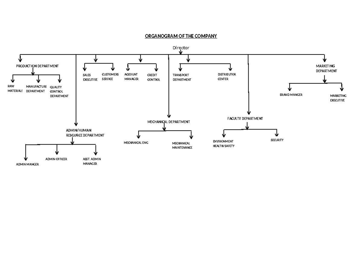 Organogram OF THE Company - ORGANOGRAM OF THE COMPANY Director ...