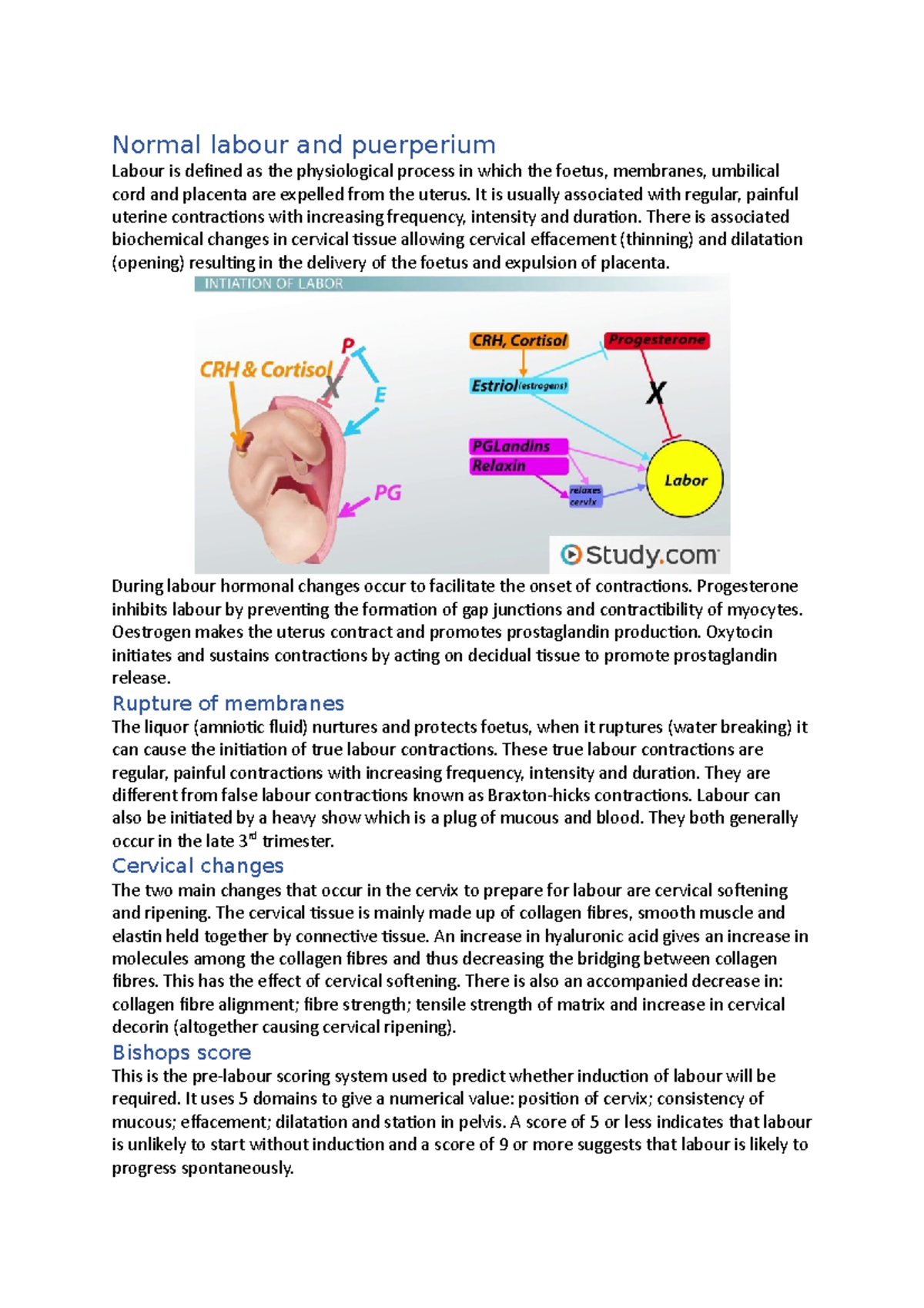 Normal labour and puerperium - Normal labour and puerperium Labour is ...