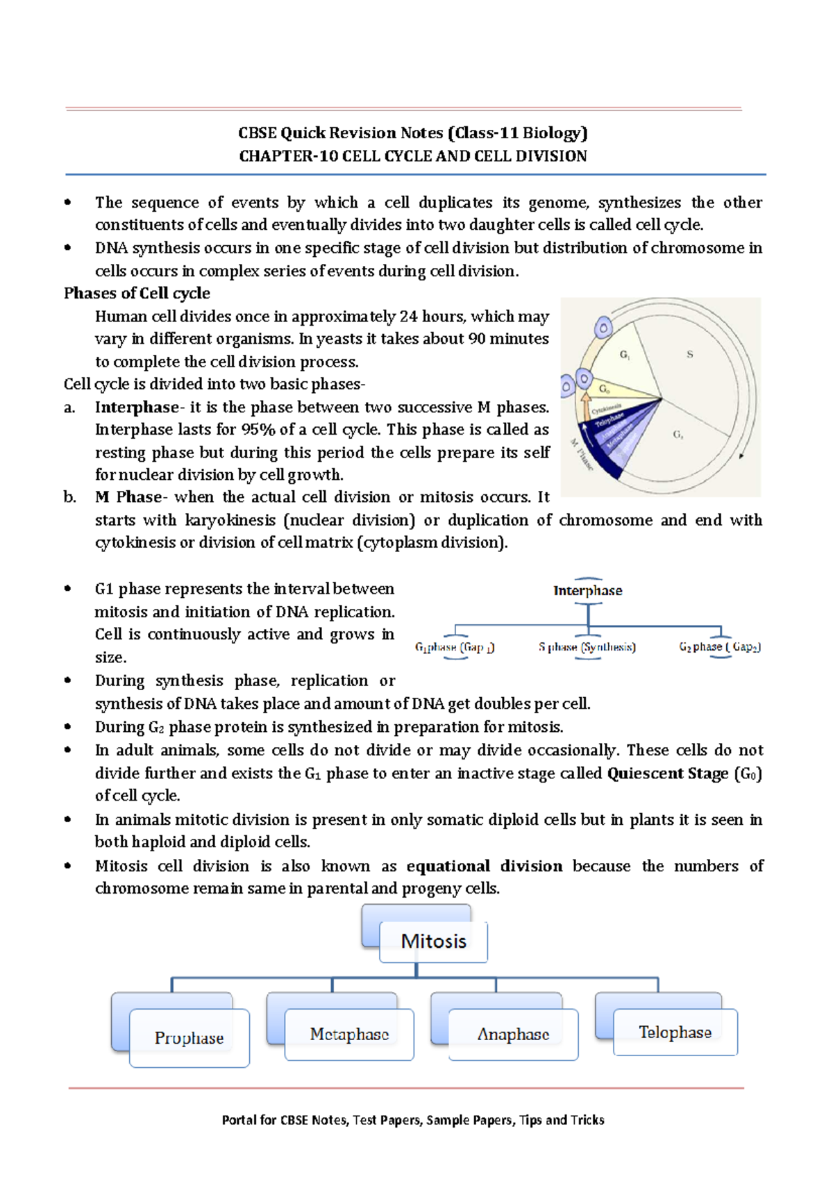 11 biology notes ch10 cell cycle and cell devision - CBSE Quick ...