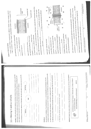 DNA Extraction From Kiwi Fruit - Studocu