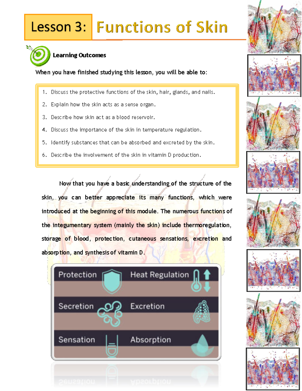 Integumentary System Lesson 3 - Learning Outcomes When you have ...