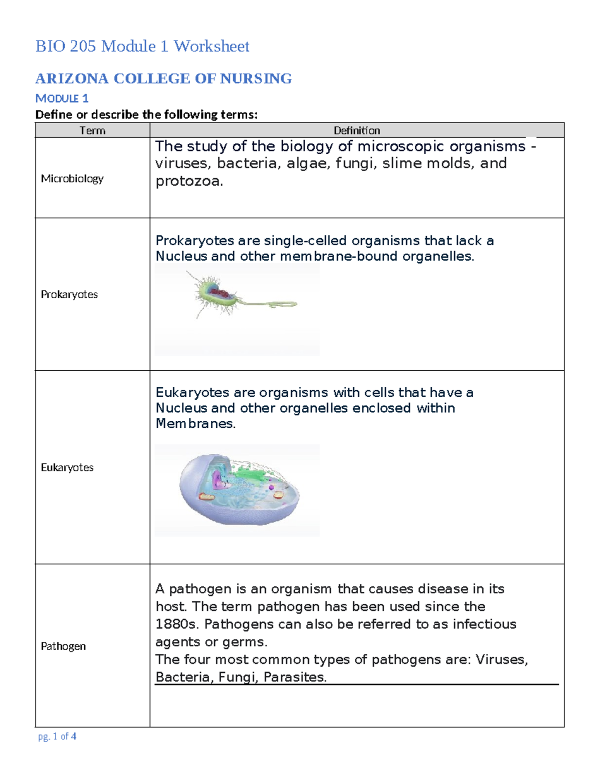 BIO 205 Module 1 Worksheet - ARIZONA COLLEGE OF NURSING MODULE 1 Define or describe the ...