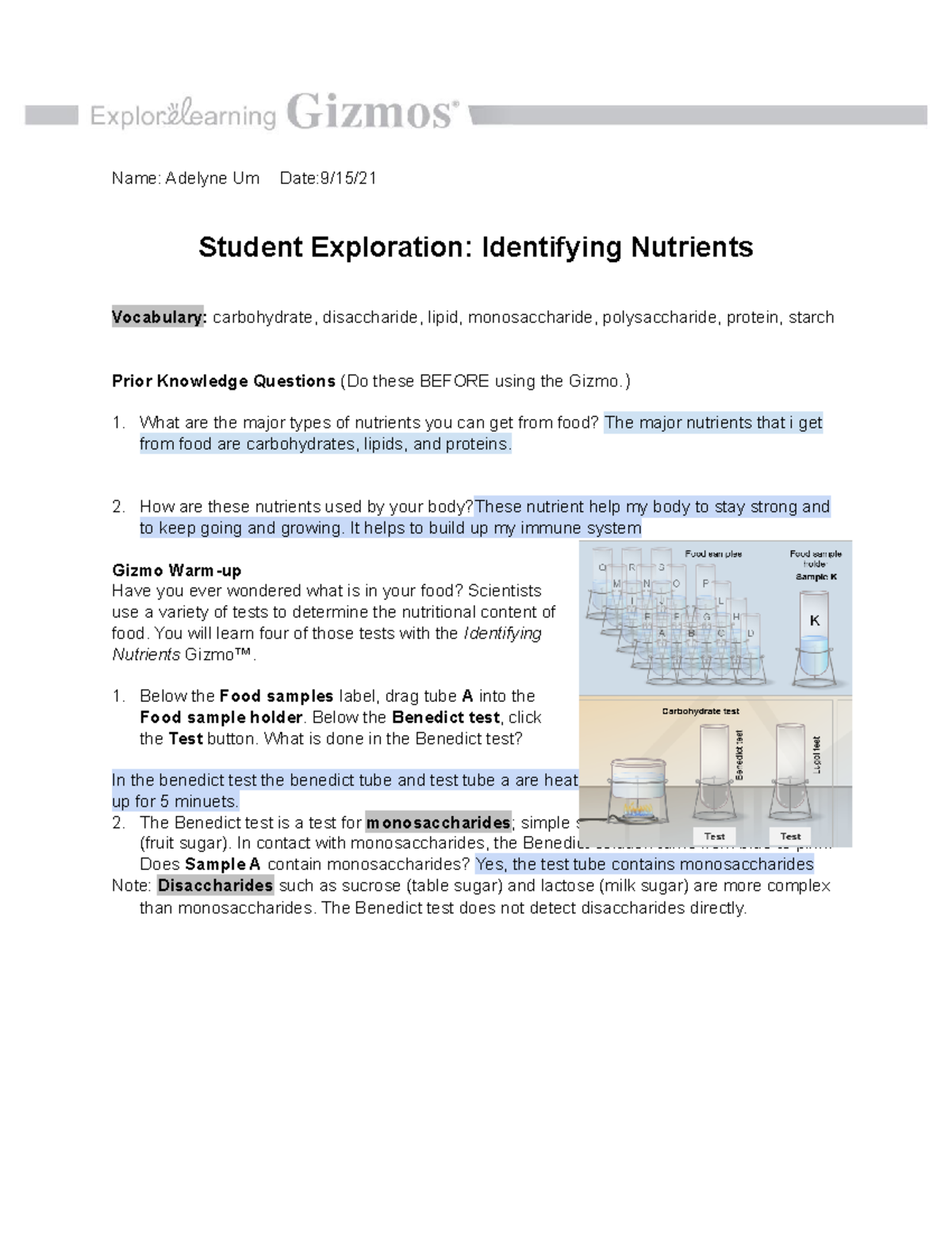 Copy of Identifying Nutrients SE - YPros1 - Yale - Studocu