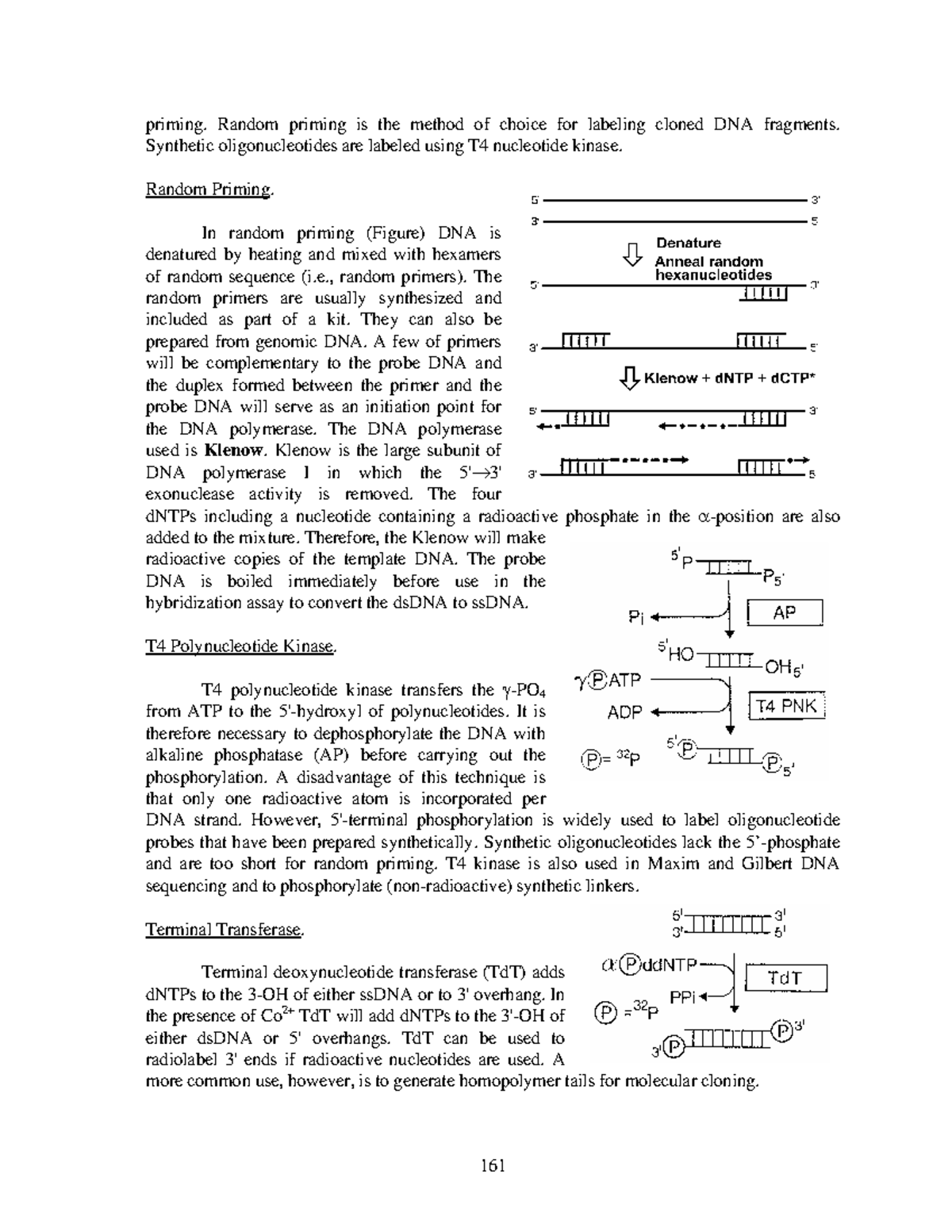 Lecture Notes for Methods in Cell Biology-161-170 - priming. Random ...