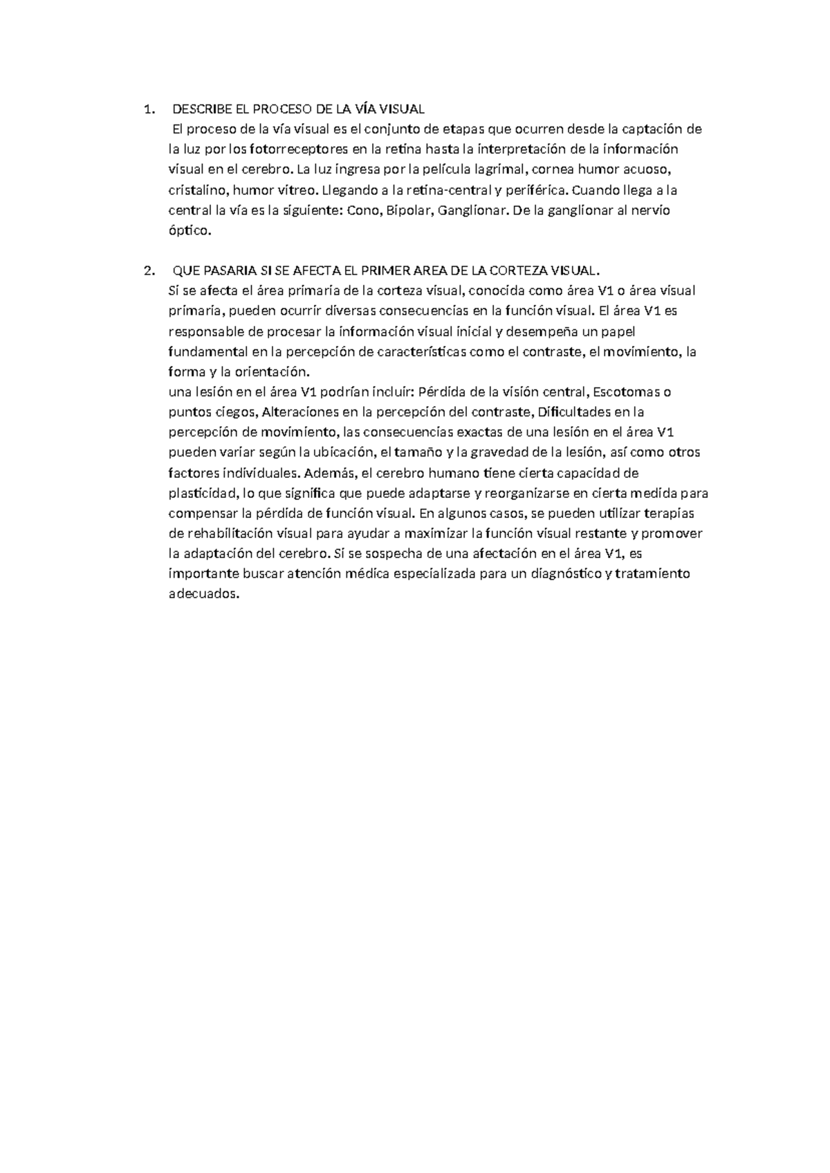 Describe EL Proceso DE LA VÍA Visual - 1. DESCRIBE EL PROCESO DE LA VÍA ...