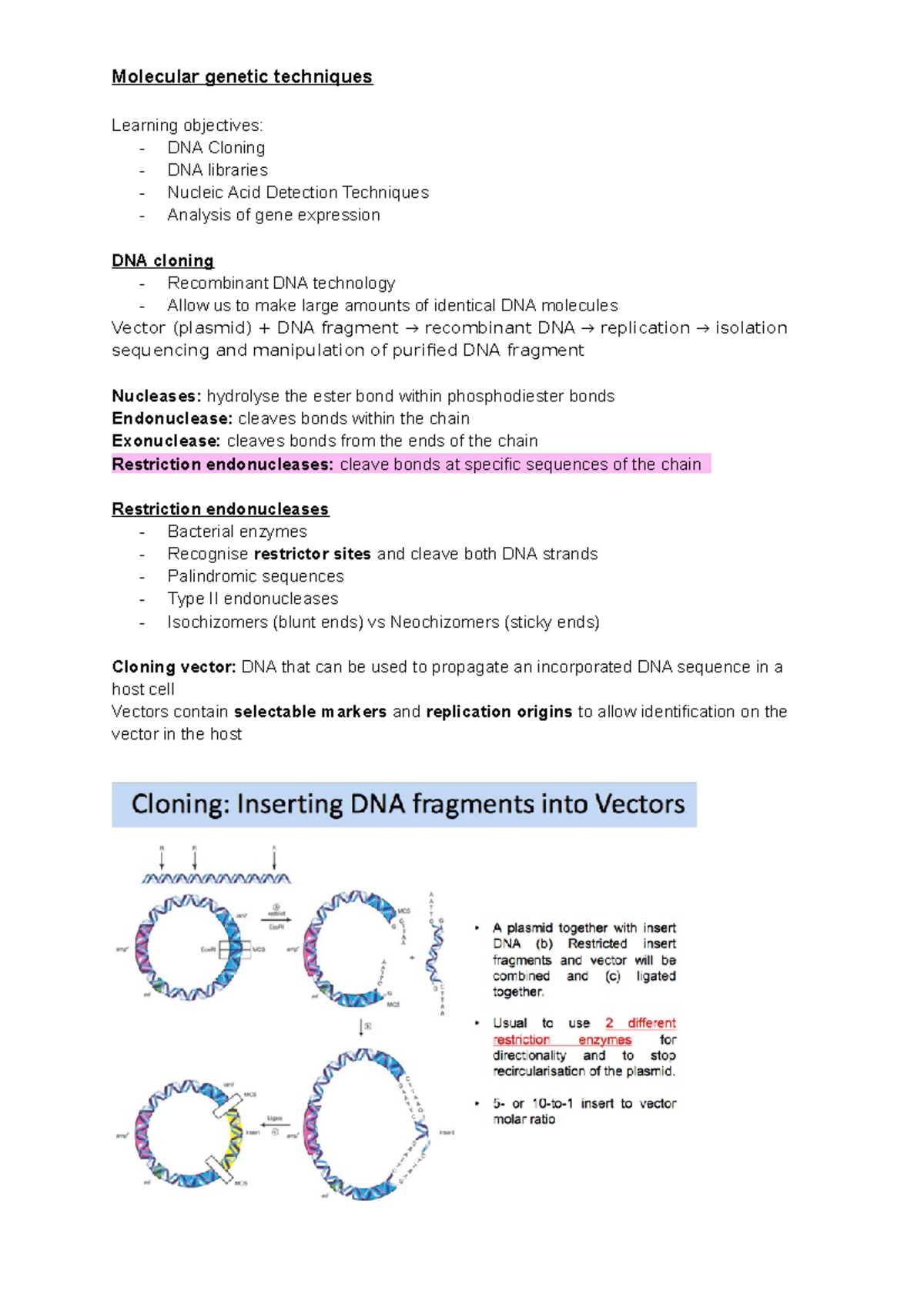 HMB - Lecture 11 - Molecular genetic techniques - Molecular genetic ...