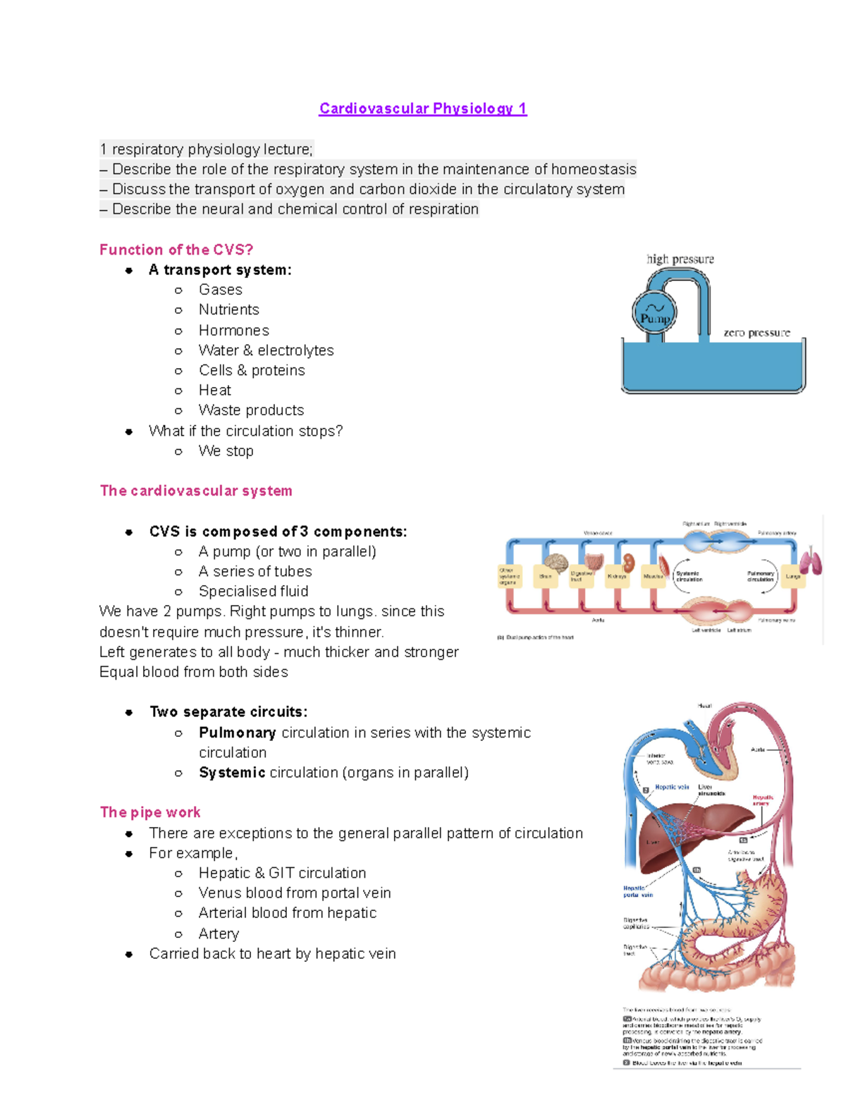 Cardiovascular System Anatomy notes part 3 - Cardiovascular Physiology ...