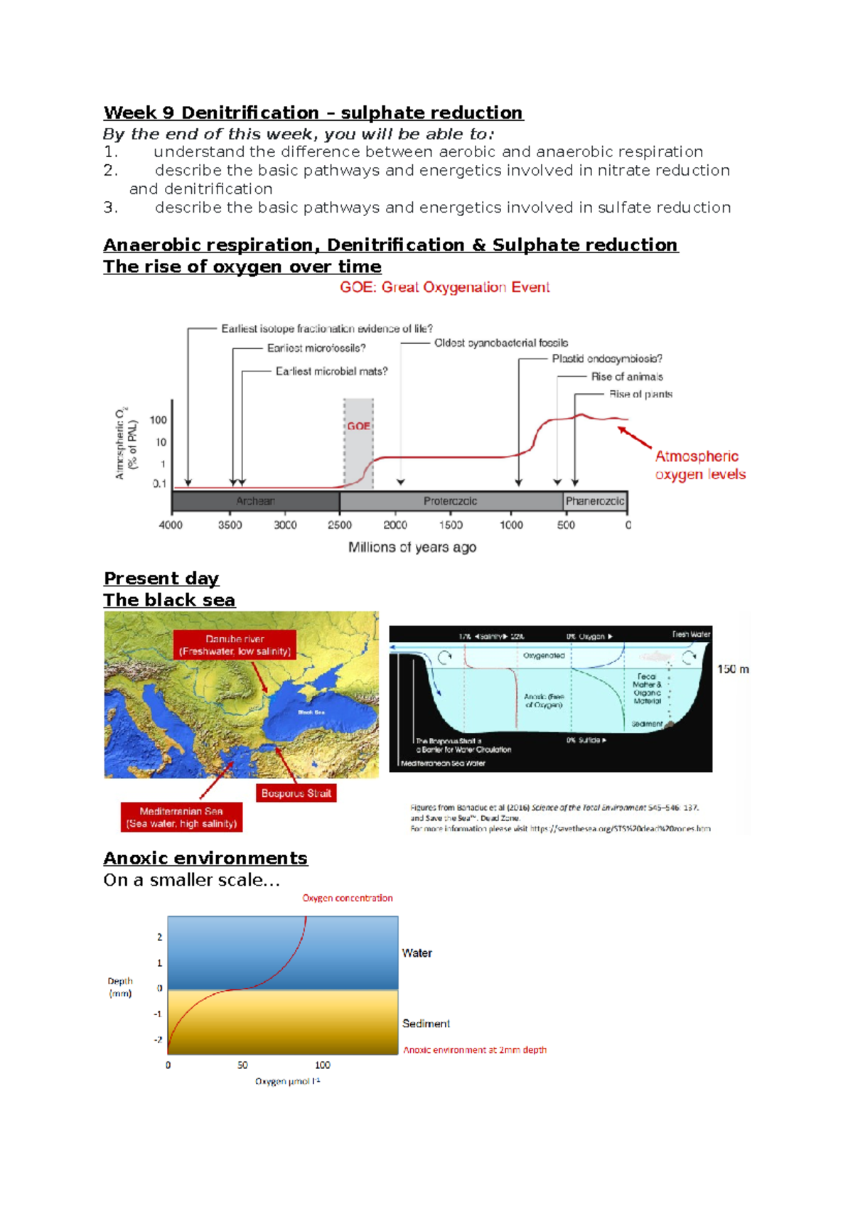 Week 9 Denitrification - sulfate reduction - Week 9 Denitrification ...