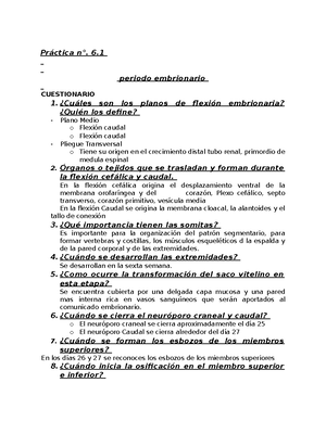 Test de capurro,entre otros - ¿Cómo se asigna la puntuación de la ...