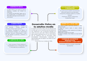 T9 Desarrollo Cognitivo EN LA EDAD Adulta - DESARROLLO COGNITIVO Y PECULIARIDADES DE LA EDAD ...