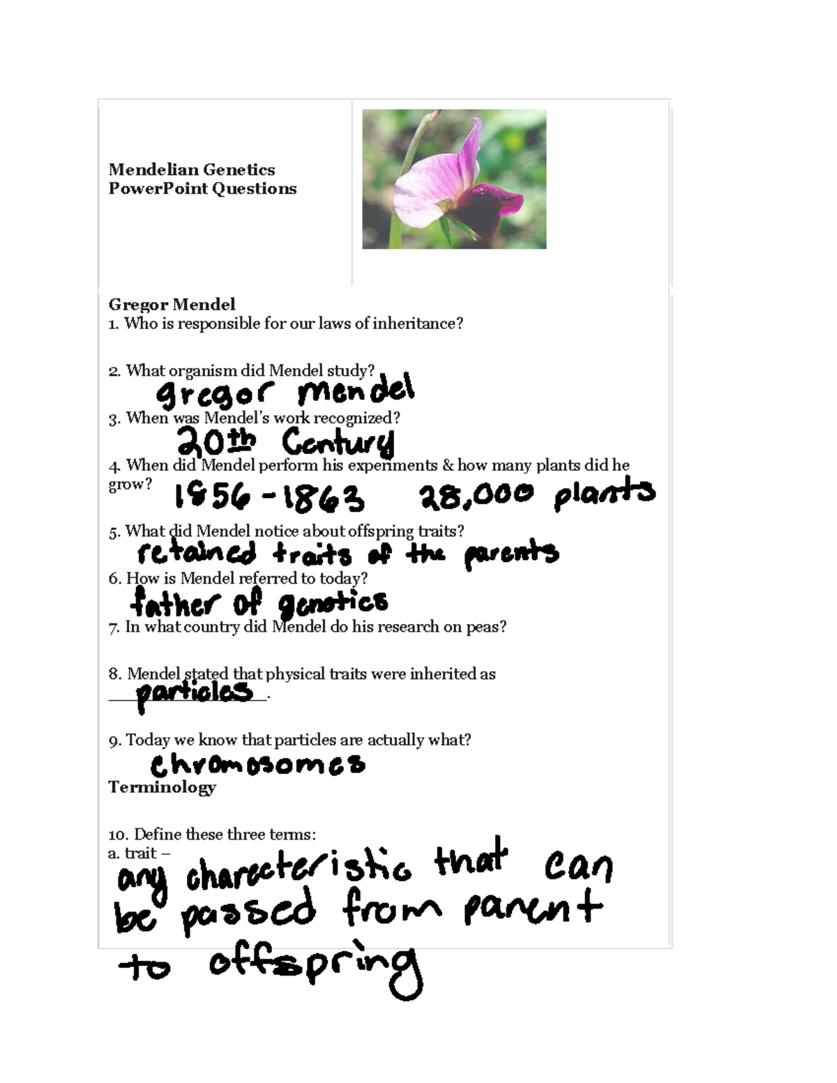 Mendelian+Genetics+powerpoint+notes - Mendelian Genetics PowerPoint ...