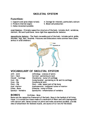 6- Digestive System - lesson 6 - DIGESTIVE SYSTEM Function Preparing ...