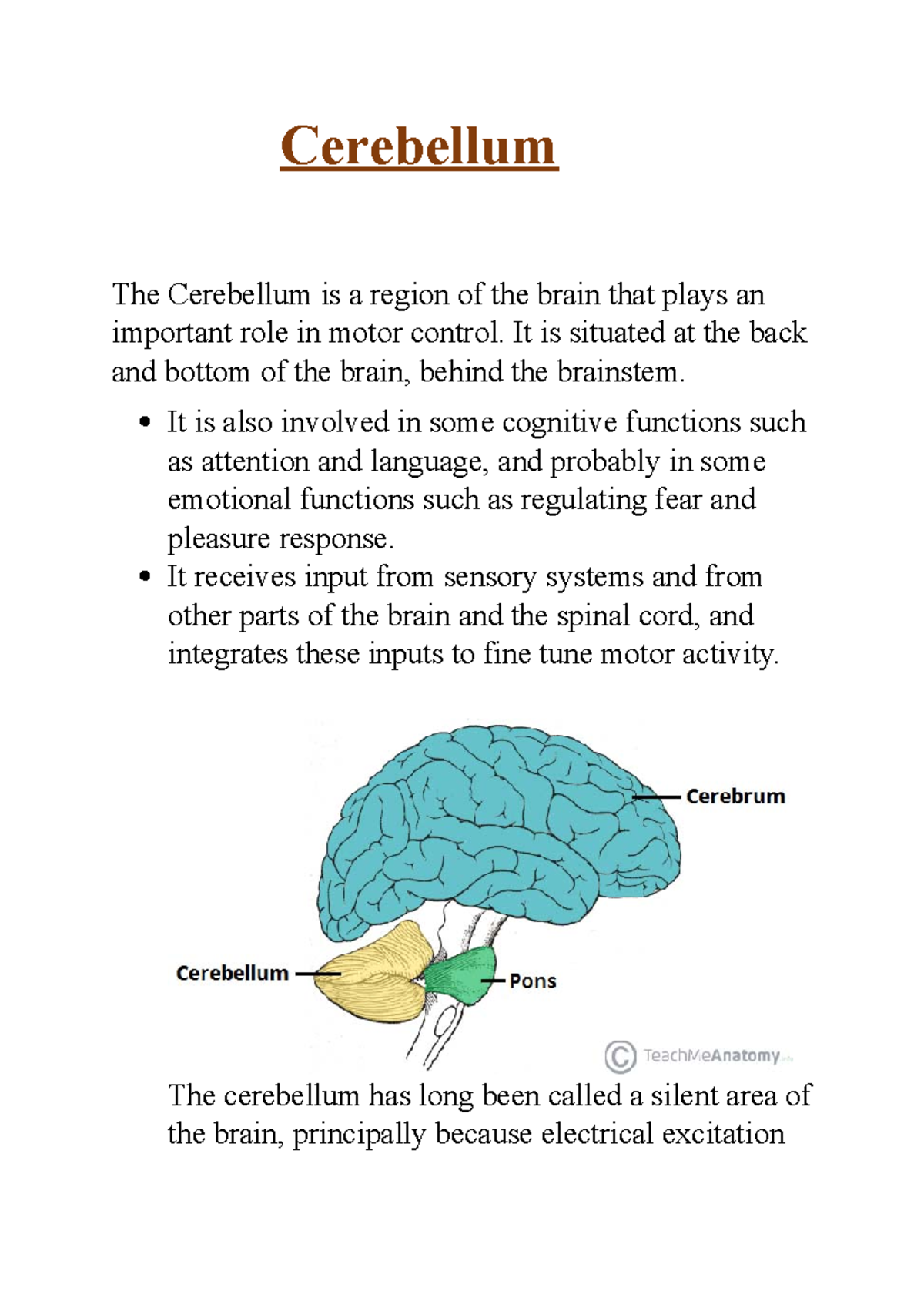 Physiology Assignment (Cerebellum) - Cerebellum The Cerebellum is a ... Physiology Assignment (Cerebellum) - Cerebellum The Cerebellum is a ...