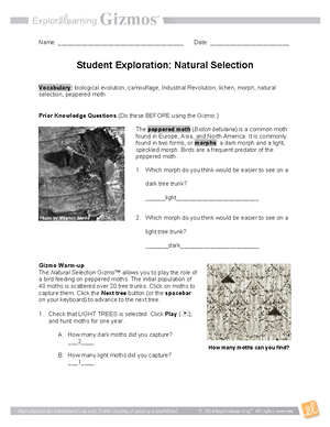 Cladograms Gizmo - Name: Date: Student Exploration: Cladograms ...