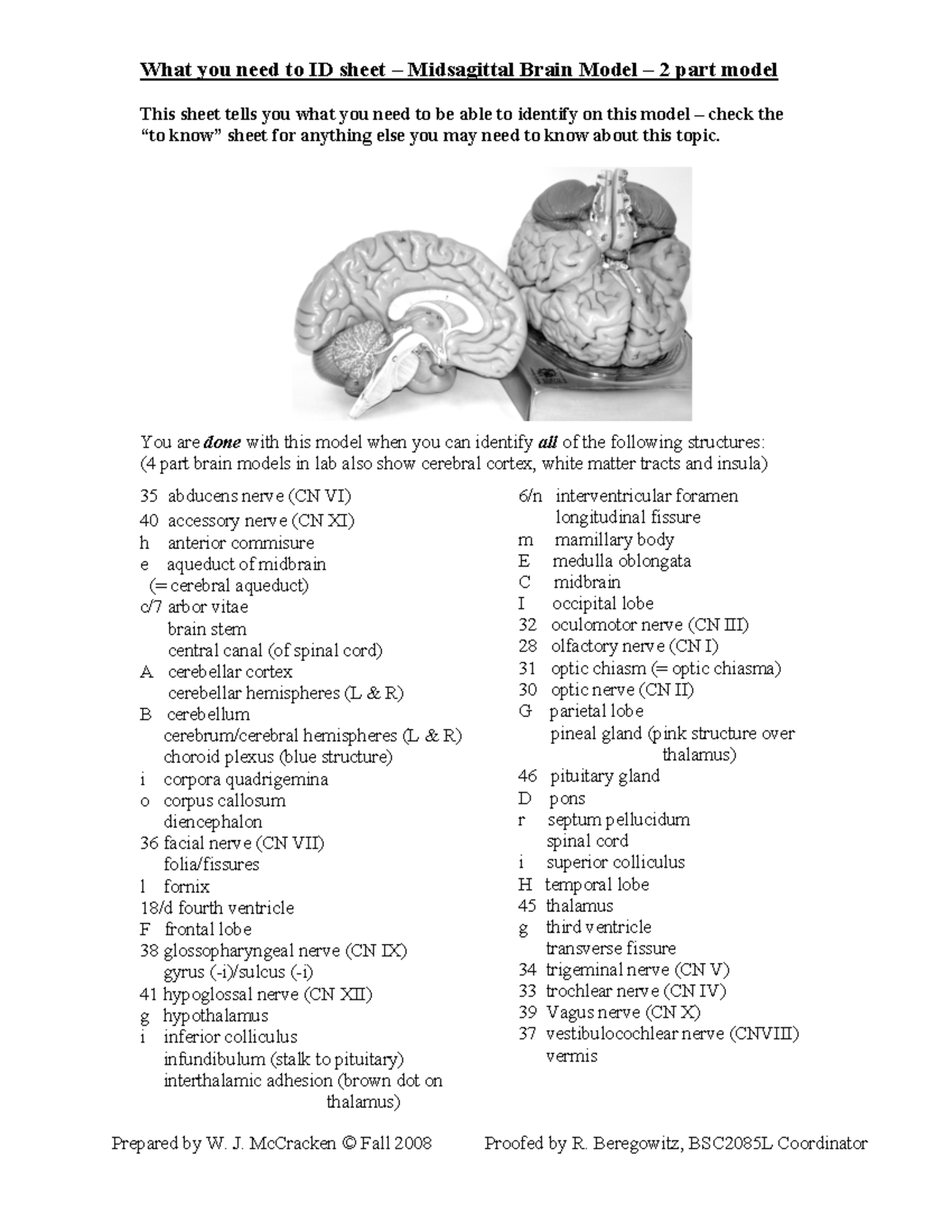 Two Part Brain Model - Prepared by W. J. McCracken © Fall 2008 Proofed ...