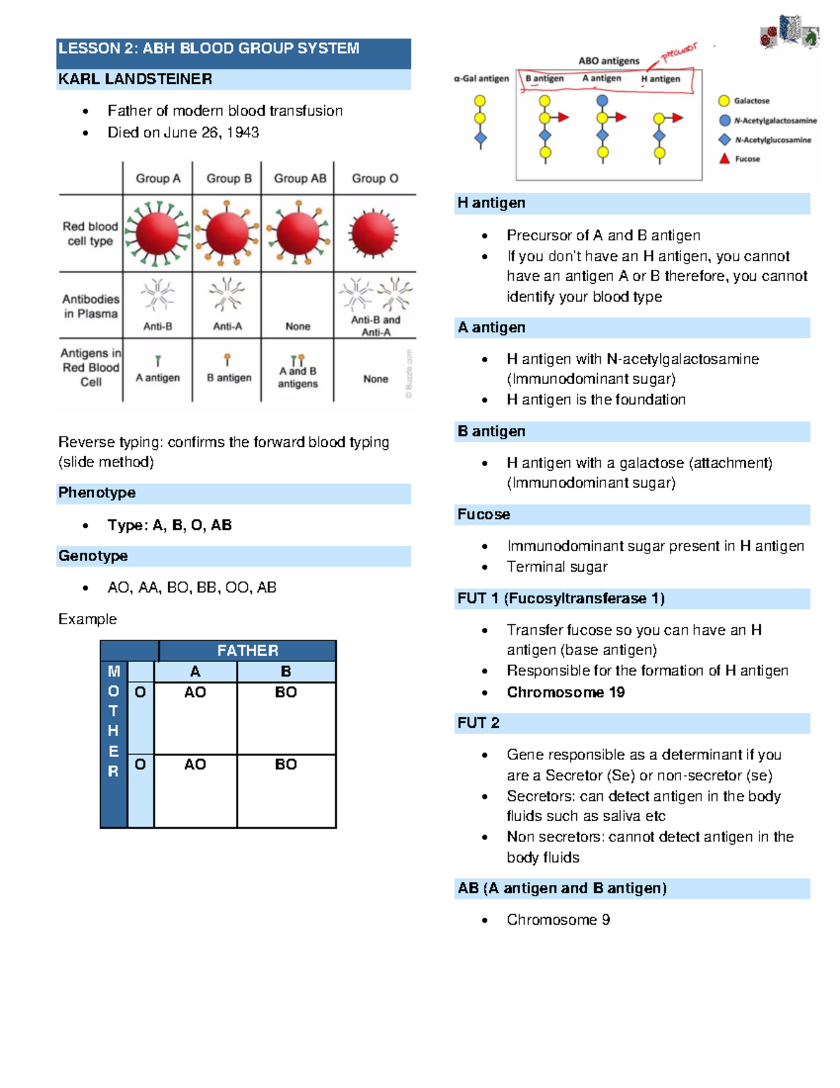 Lesson 2 Blood Groups - LESSON 2: ABH BLOOD GROUP SYSTEM KARL ...