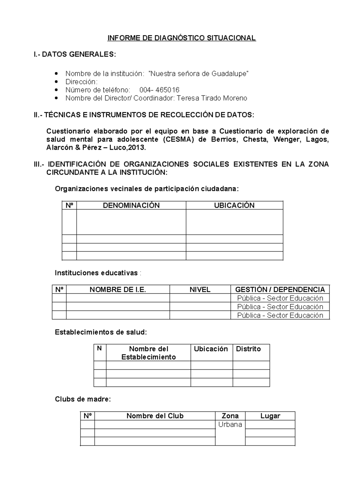 Esquema Informe Diagnóstico Situacional - INFORME DE DIAGNÓSTICO ...