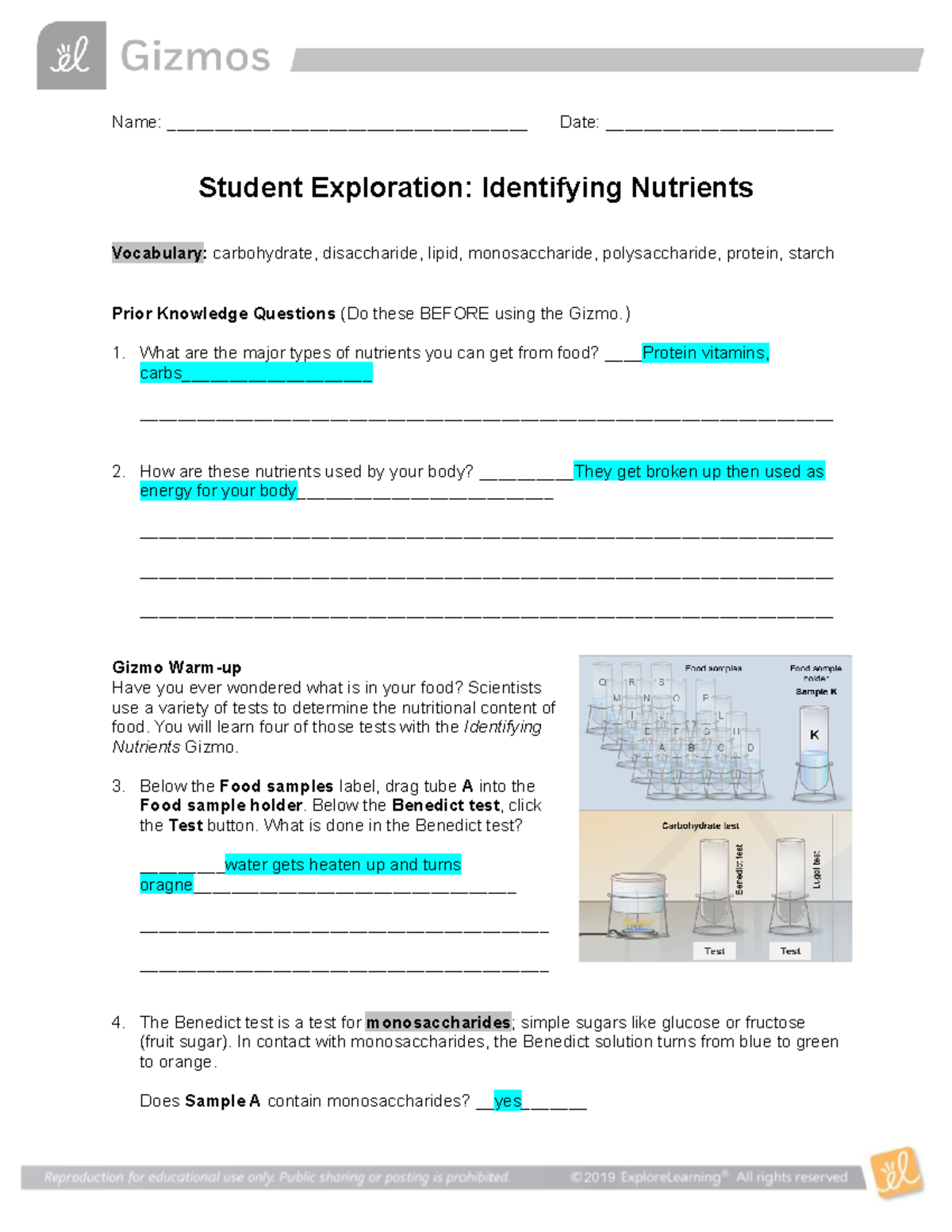 Identifying Nutrients SE Gizmo-1 - Name ...