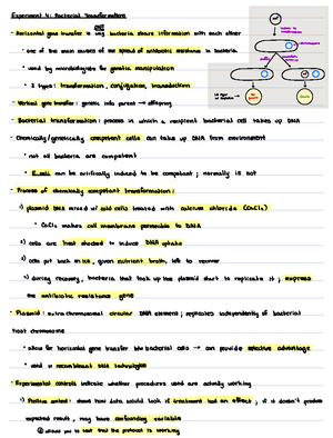 Experiment 5 Bacterial Conjugation - Experiment 5 Bacterial conjugation ...